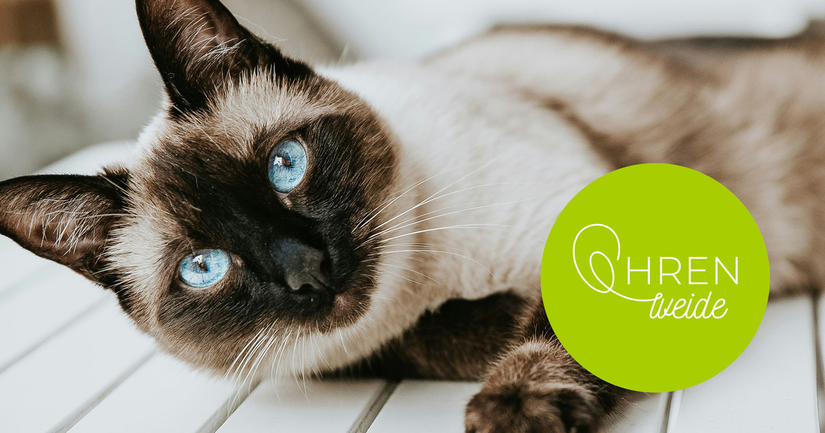 Nicht vorgesehen - von Alexander Brandl | evangelisch.de