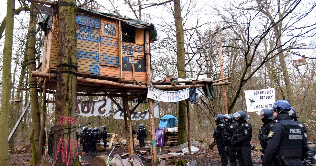 Baumbesetzer verharren im Fechenheimer Wald | evangelisch.de