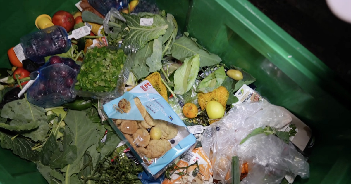 Containern - Essen aus dem Müll | evangelisch.de