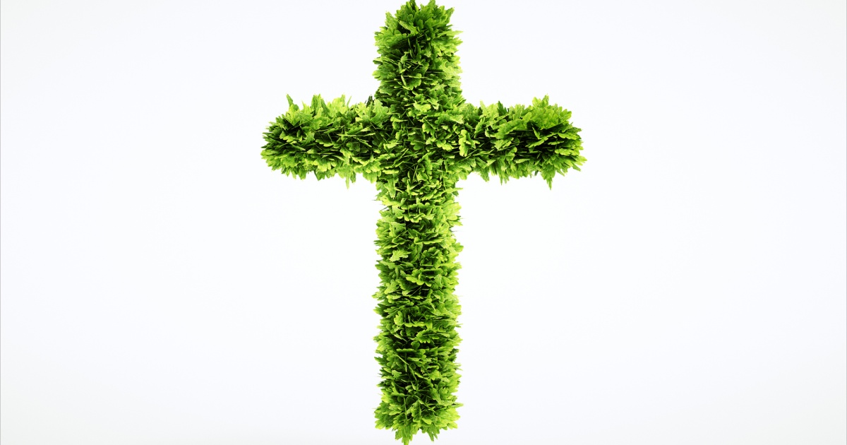 Konservative Christen kritisieren EKD bei Klimaschutz | evangelisch.de