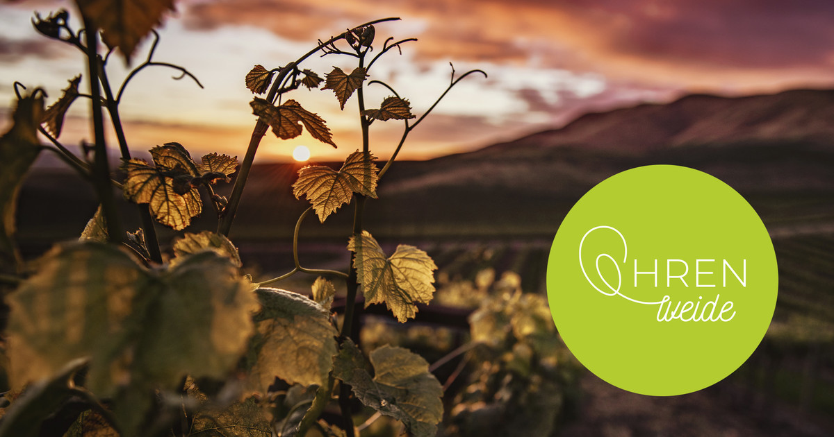 Weininsel - von Nanaja Meropis | evangelisch.de