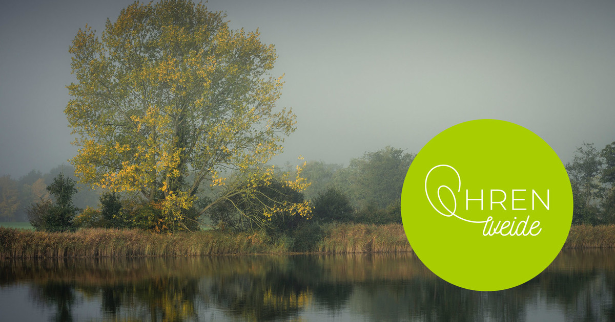 Der Lindenbaum - von Wilhelm Müller | evangelisch.de