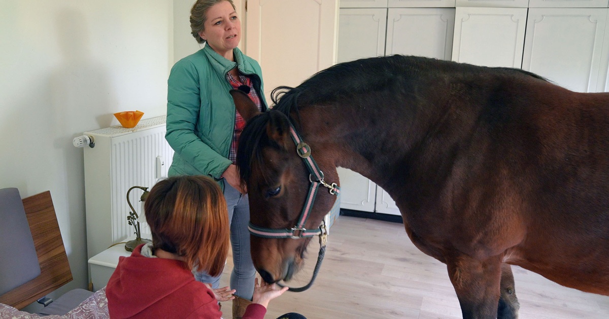 Sterben mit Pferd am Bett | evangelisch.de