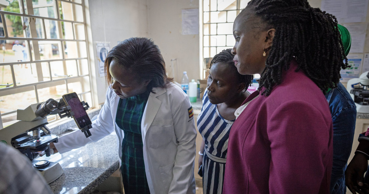 Wie künstliche Intelligenz Ugandas Ärzten hilft | Welt-Sichten