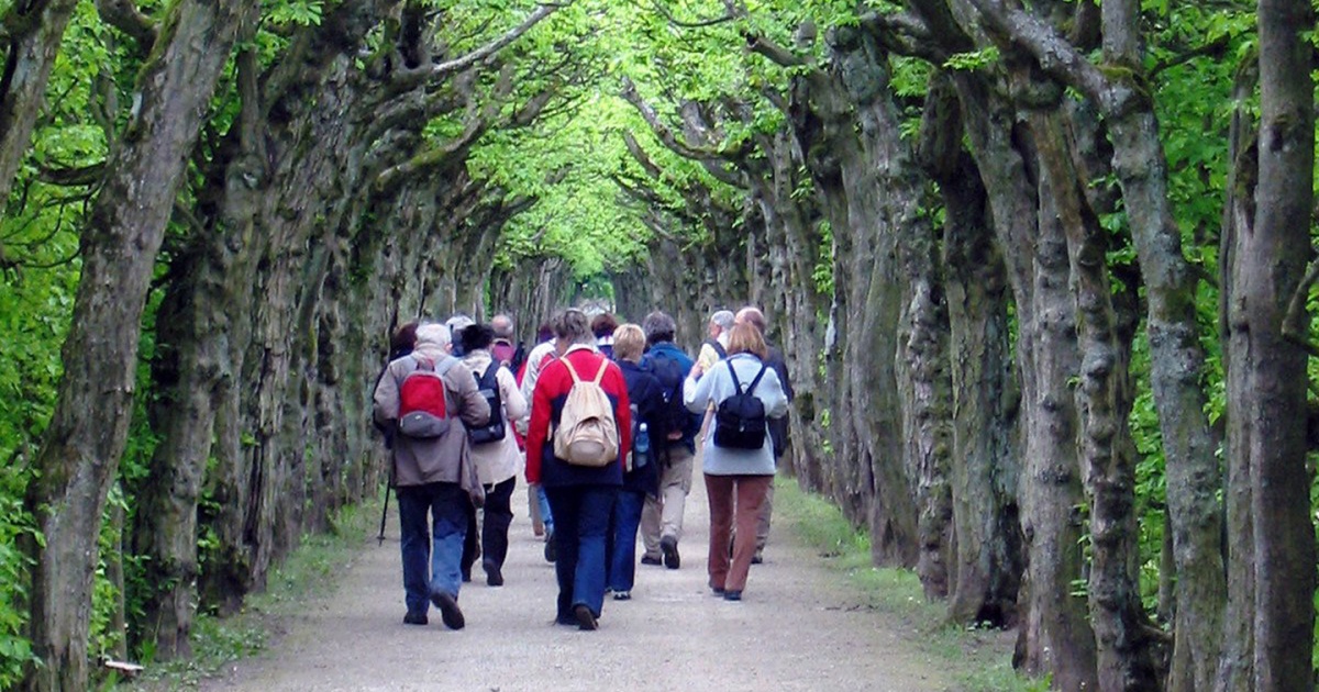 "Der Jakobsweg entsteht unter den Füßen" | evangelisch.de