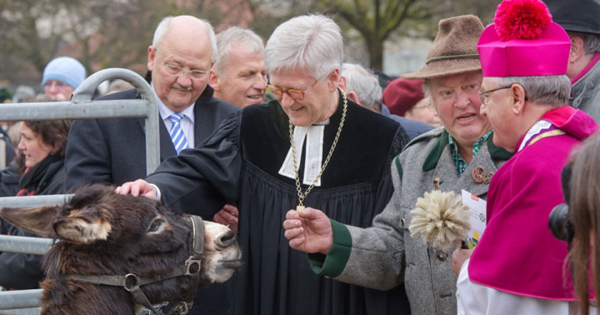 Tiere segnen - ist das evangelisch? | evangelisch.de